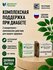 Комплекс при диабете