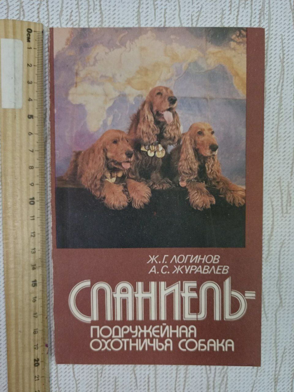 Спаниель - подружейная охотничья собака