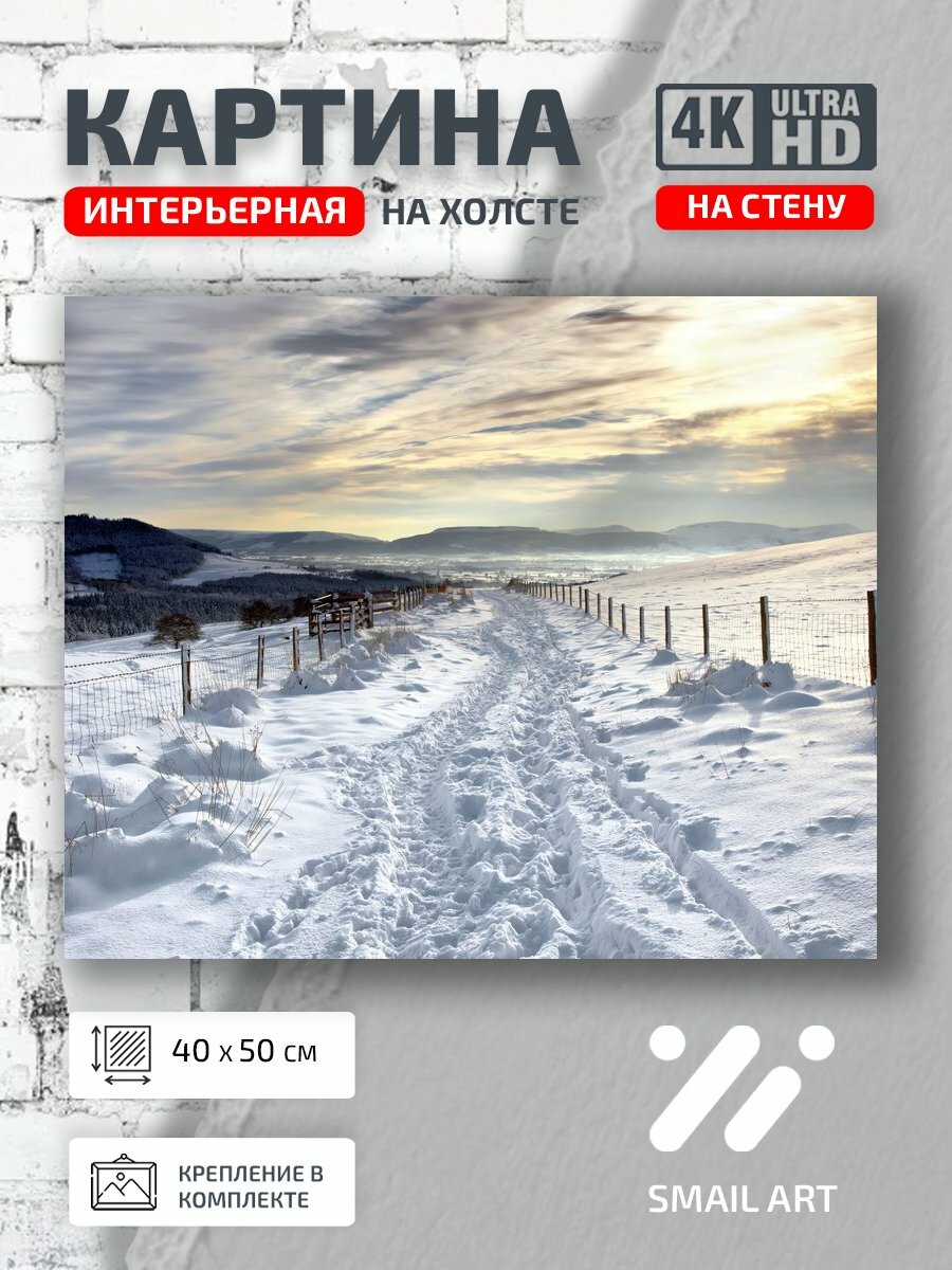 Картина на холсте интерьерная 40 на 50 на стену Поле field для спальни пейзаж интерьер