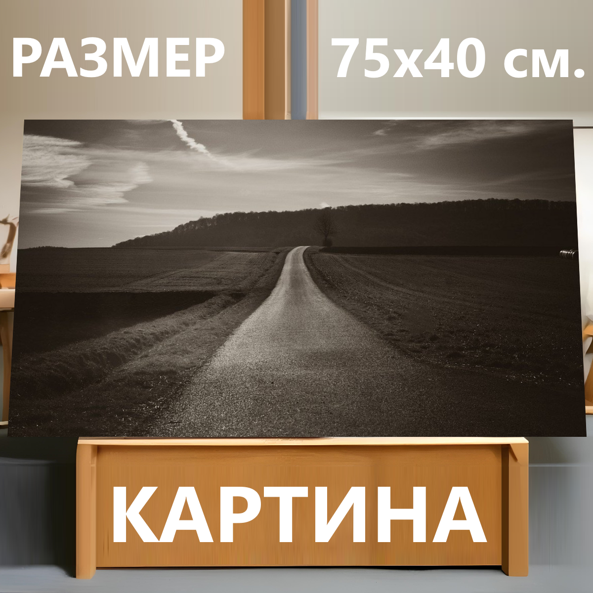 Картина на холсте "Дорога, сепия, панорама" на подрамнике 75х40 см. для интерьера