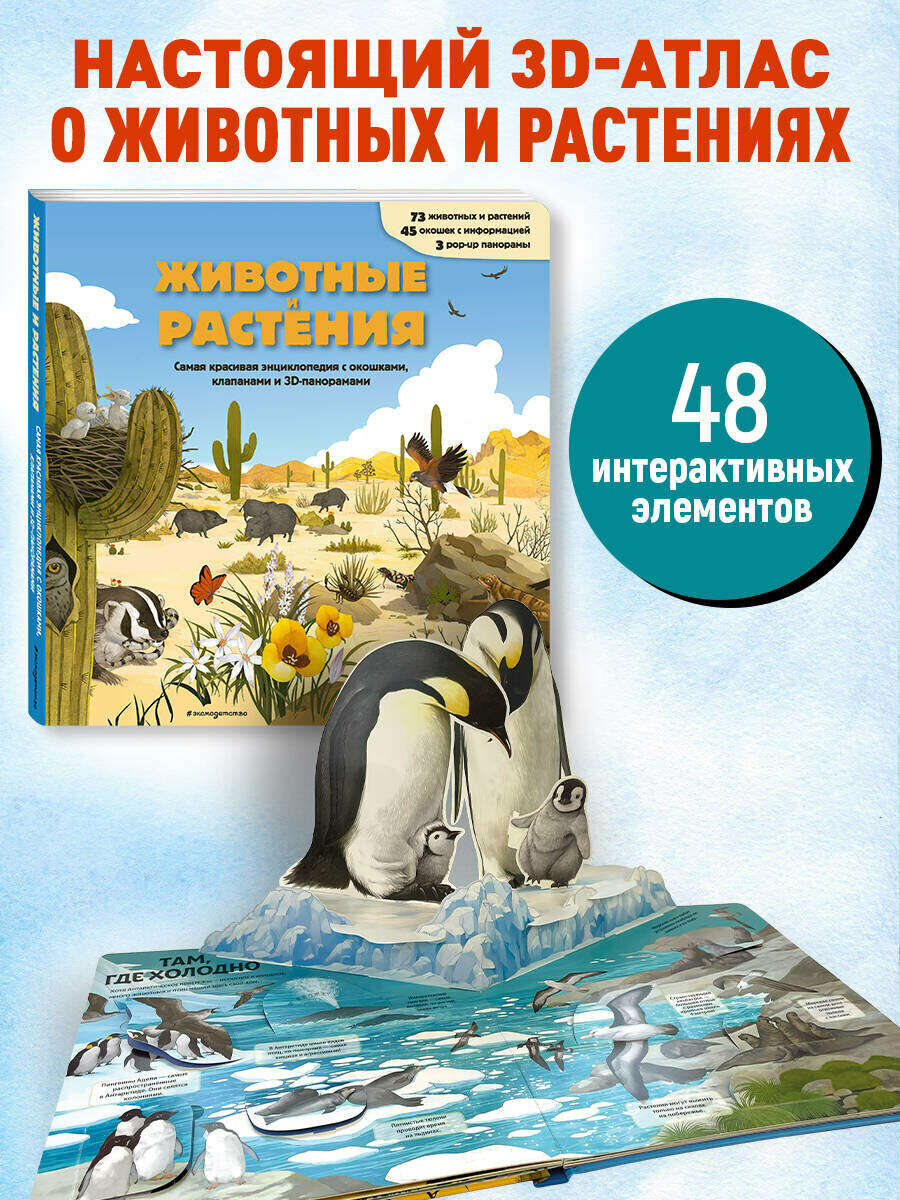 Животные и растения. Самая красивая энциклопедия с окошками, клапанами и 3D-панорамами