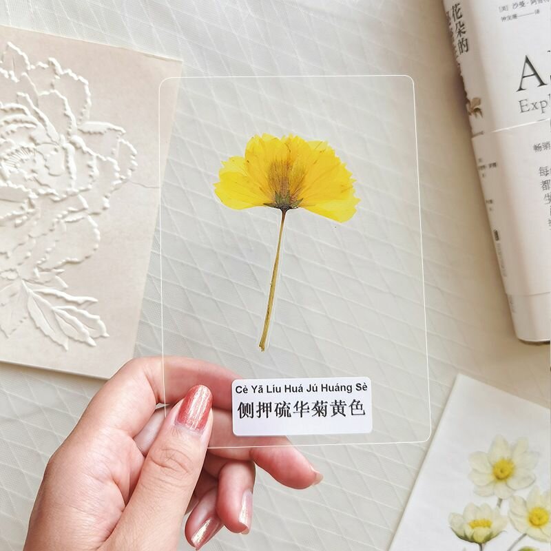 Настоящий четырехлистный клевер, амулет, приносит удачу, отгоняет невезение и сохраняет его сухим и постоянным.