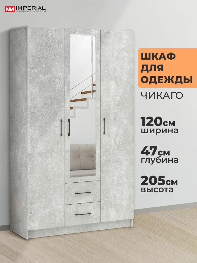 Шкаф распашной для одежды Чикаго 3д 2ящ 1 зеркало, ателье светлый