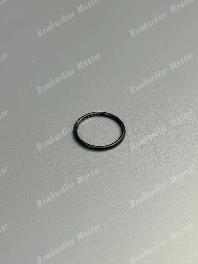 Кольцо натяжителя цепи 420250890