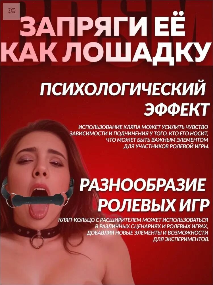 Кляп-трензель — фото 1