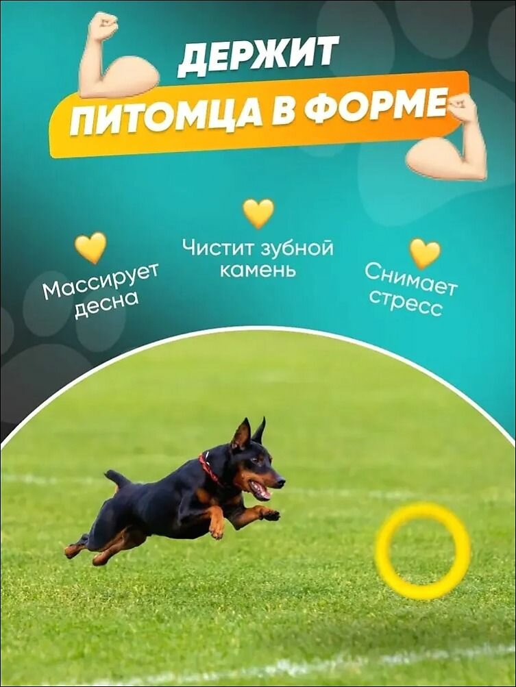 Игрушка для собак "Кольцо Пуллер", для апортировки, для дрессировки, желтый, 18см — фото 1