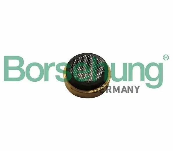 Сетка масляного насоса Borsehung B11897 универсальный AUDI/VW/SKODA/SEAT