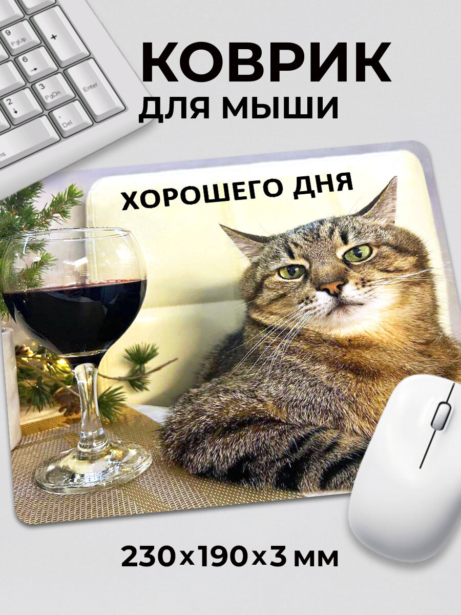 Коврик для мышки с приколом мем кот котик Хорошего дня