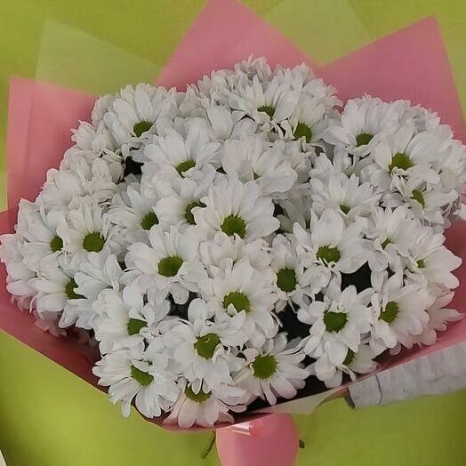 Букет "Ромашки", дизайнерская упаковка, для любимой, 5 цветов, высота 56 см