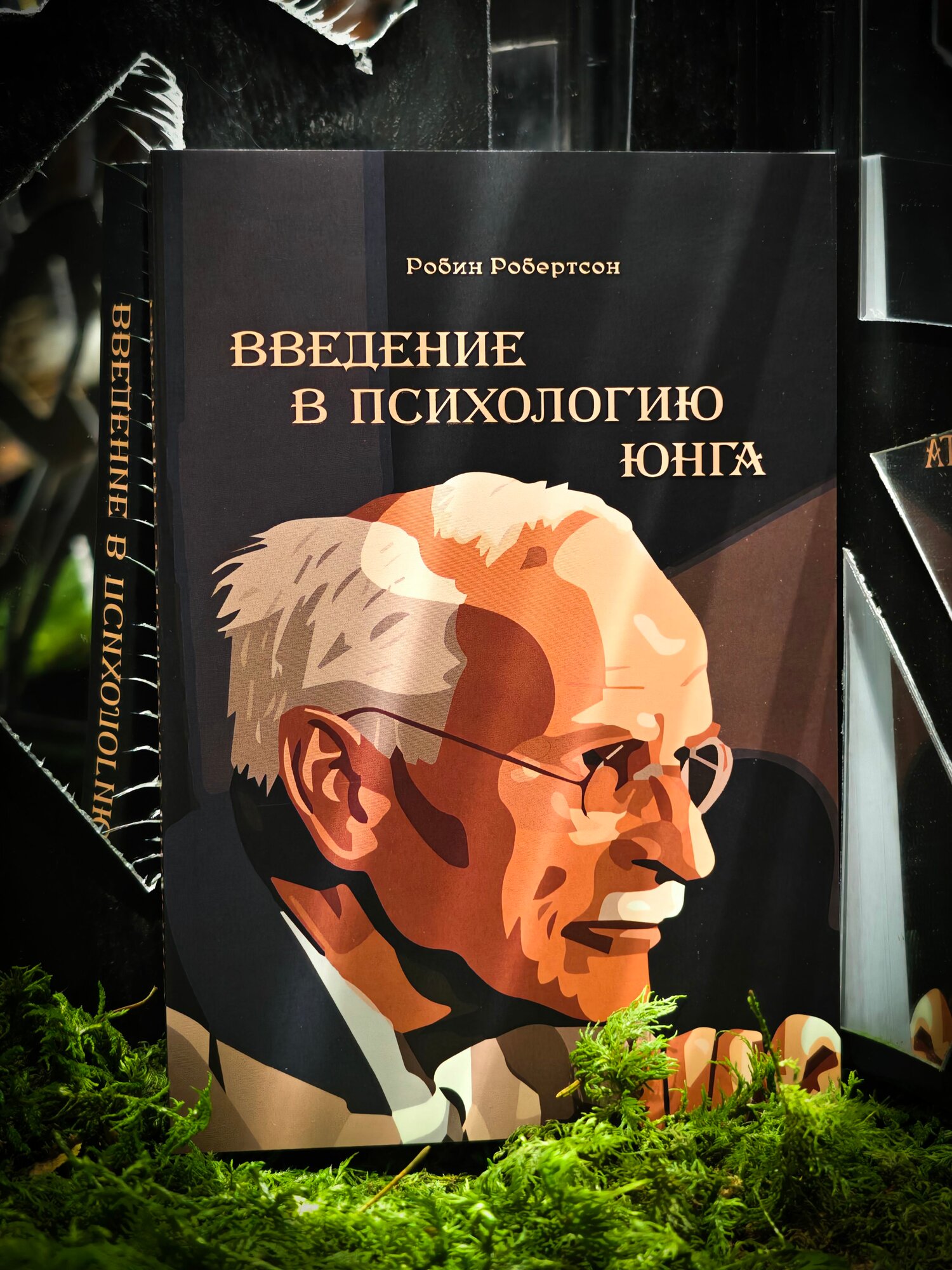 Введение в психологию Юнга