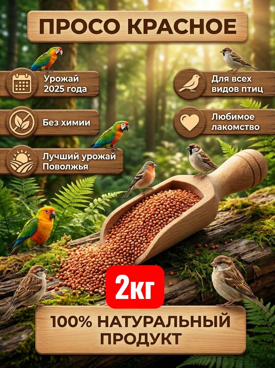 Просо для птиц