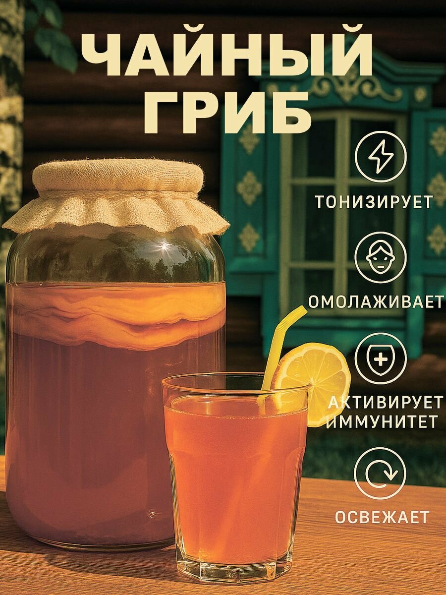 Чайный гриб Комбуча