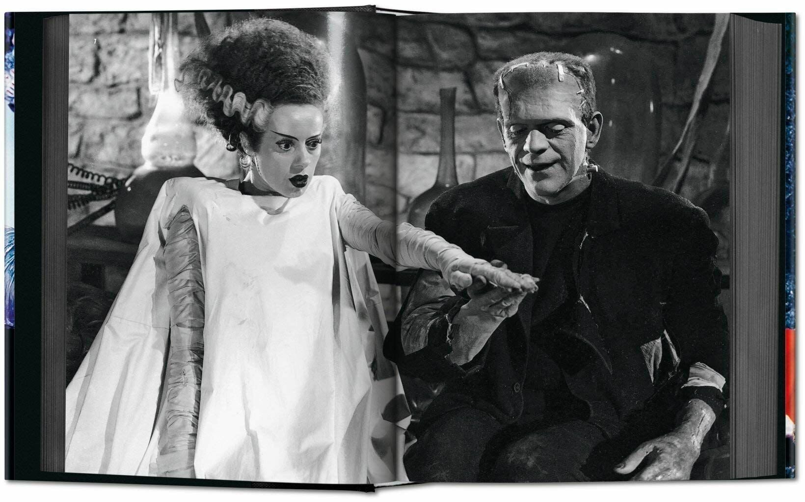 Horror Cinema (Bibliotheca Universalis) — фото 1