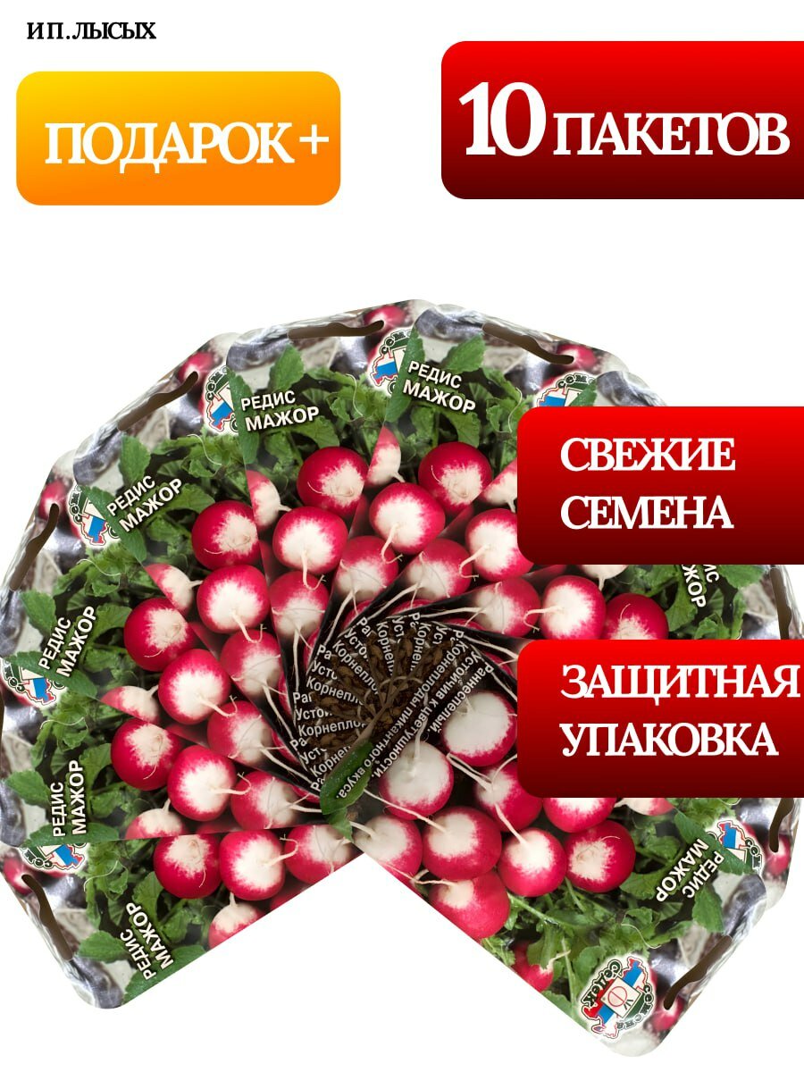 Семена Редис "Мажор"