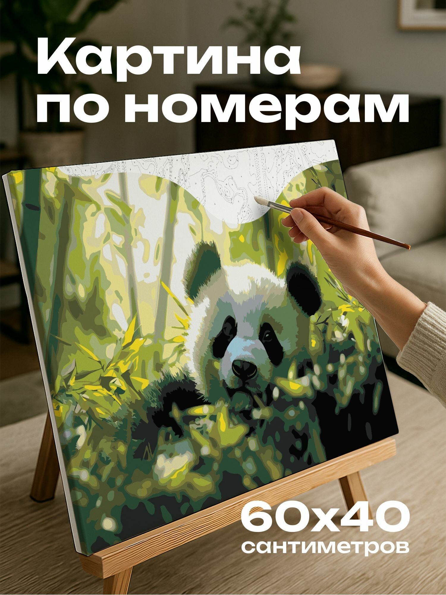 Картина по номерам 60x40 см, панда, бамбуковый лес, черно-белый мех, застенчивость, спокойствие, гармония