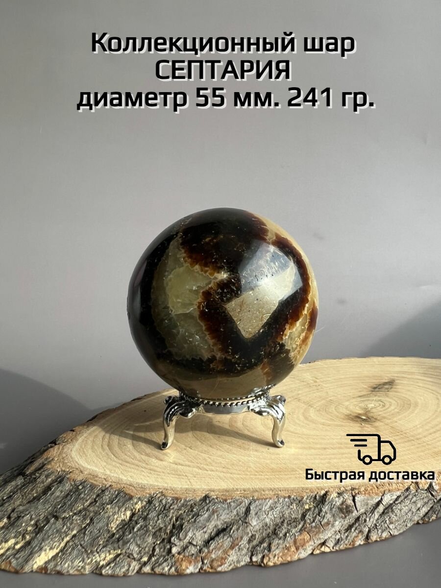 Коллекционный шар, натуральный камень Септария