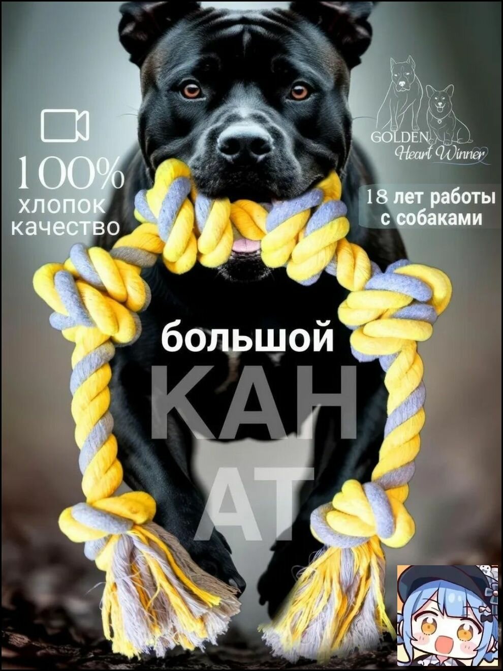 Интерактивная игрушка для питомцев