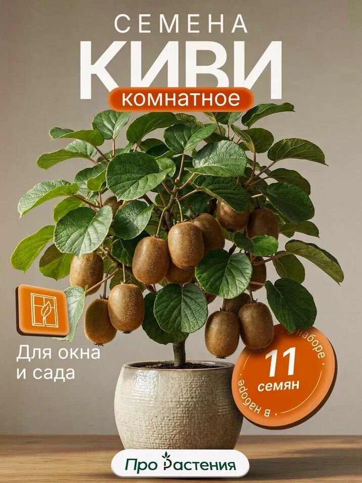 Семена Киви (Лиана Актинидия китайская) 11 штук Про Растения