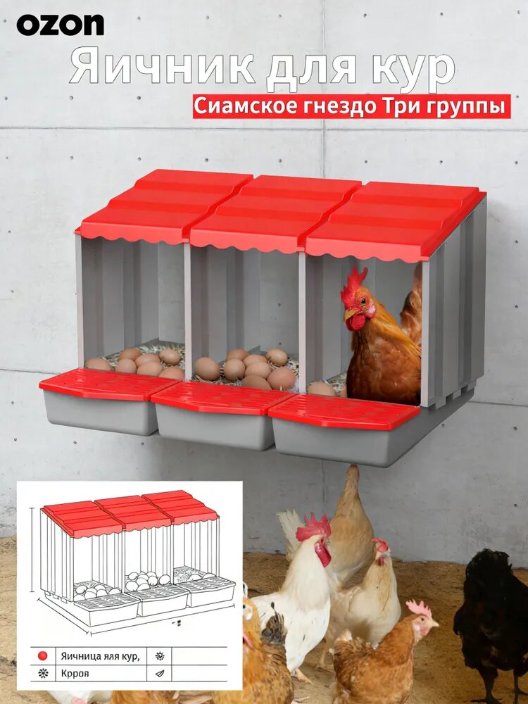 Гнездо для кур с яйцесборником, пластиковое, 84.5x51.5x46.5 см (автосбор яиц, для курятника, на 4-5 несушек)