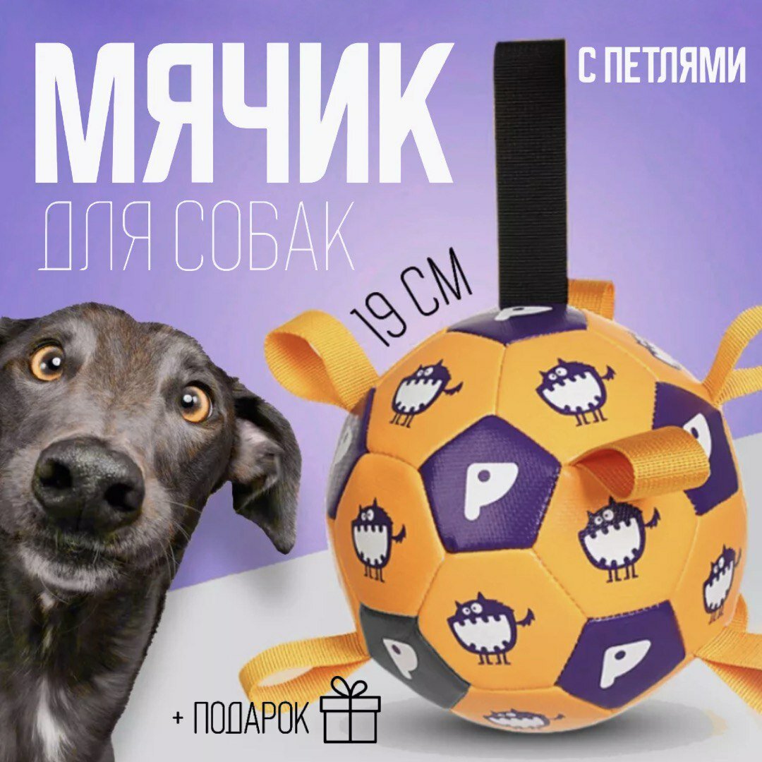 Мяч для собак "Футбол" с петлями. Оранжево-фиолетовый, 1 шт.