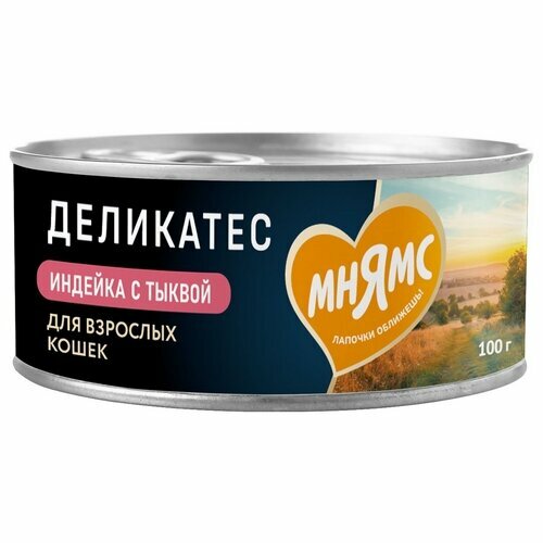 Мнямс Delicatesse Влажный корм Консервы для кошек Паштет по-оксфордски Индейка с тыквой (цена за упаковку) 100г х 16шт
