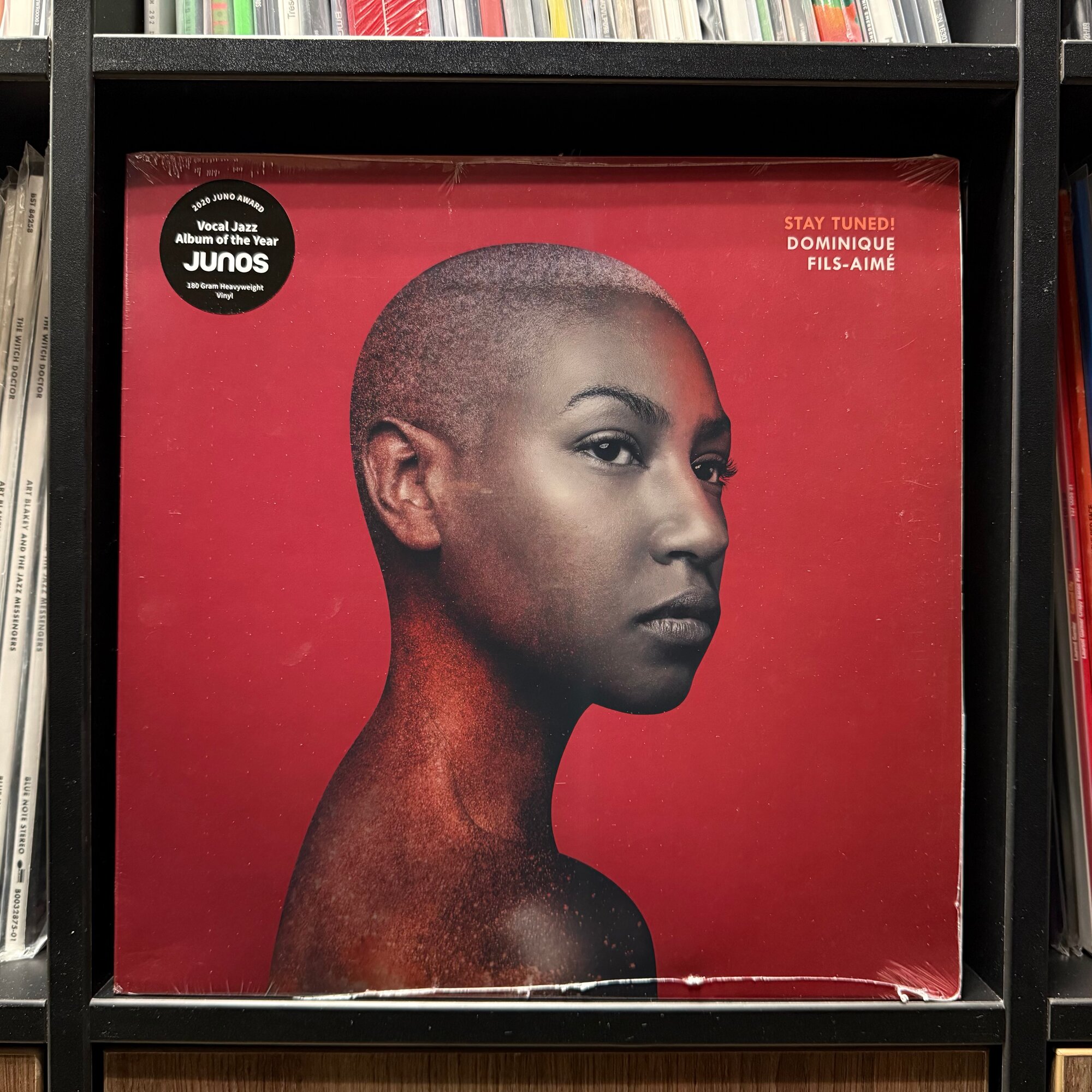 Виниловая пластинка Dominique FILS AIME - Stay Tuned! (still sealed, LP) LP Винил