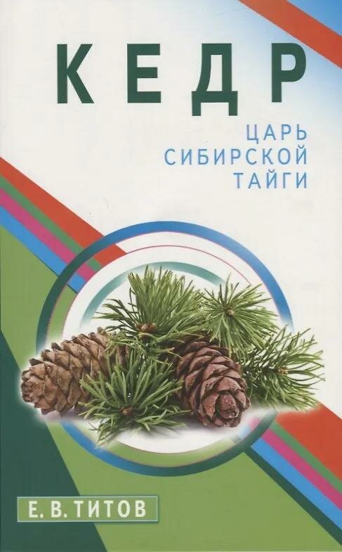 Кедр - царь сибирской тайги