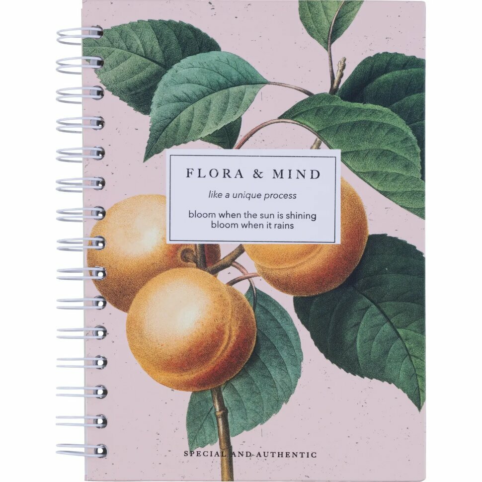 Бизнес-тетрадь, BS, А5, 120л, точка, твердый, спираль. Flora, персики N4211, 2054630