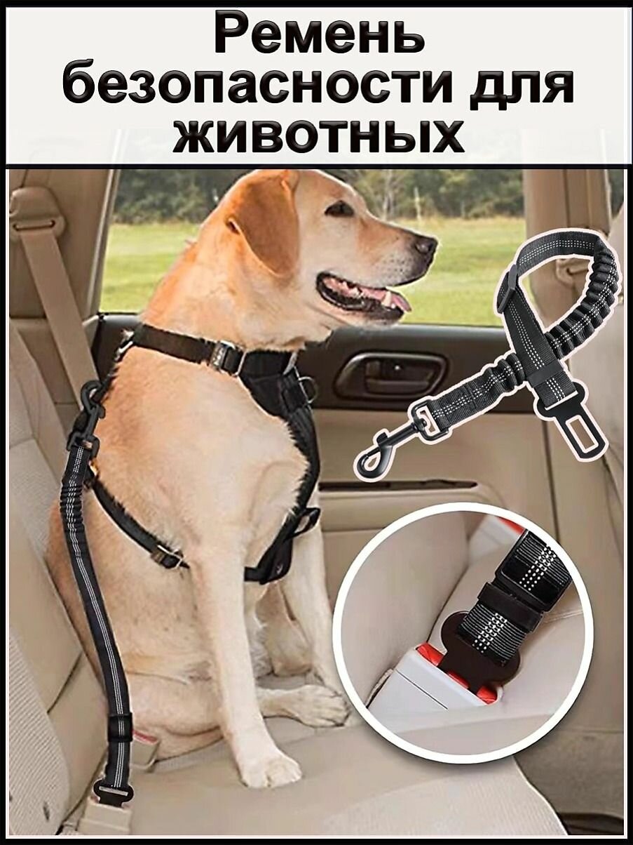Усиленный, универсальный автомобильный ремень безопасности для животных, для малых пород с амортизацией. Длина 35-75см