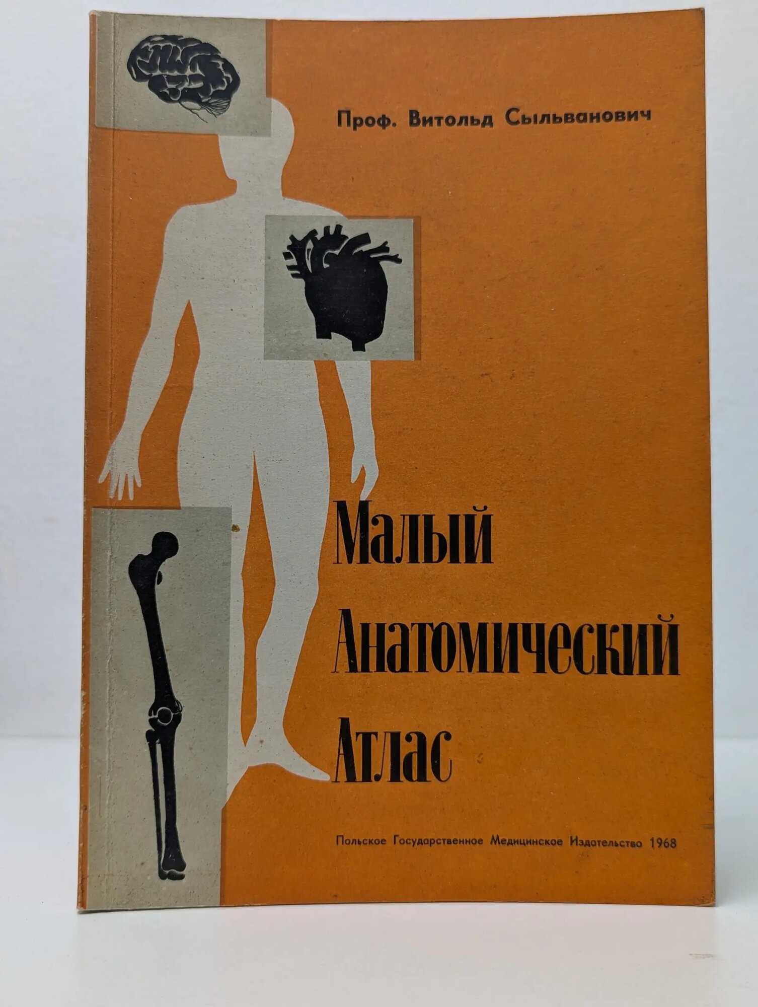 Малый анатомический атлас Сыльванович Витольд 1968
