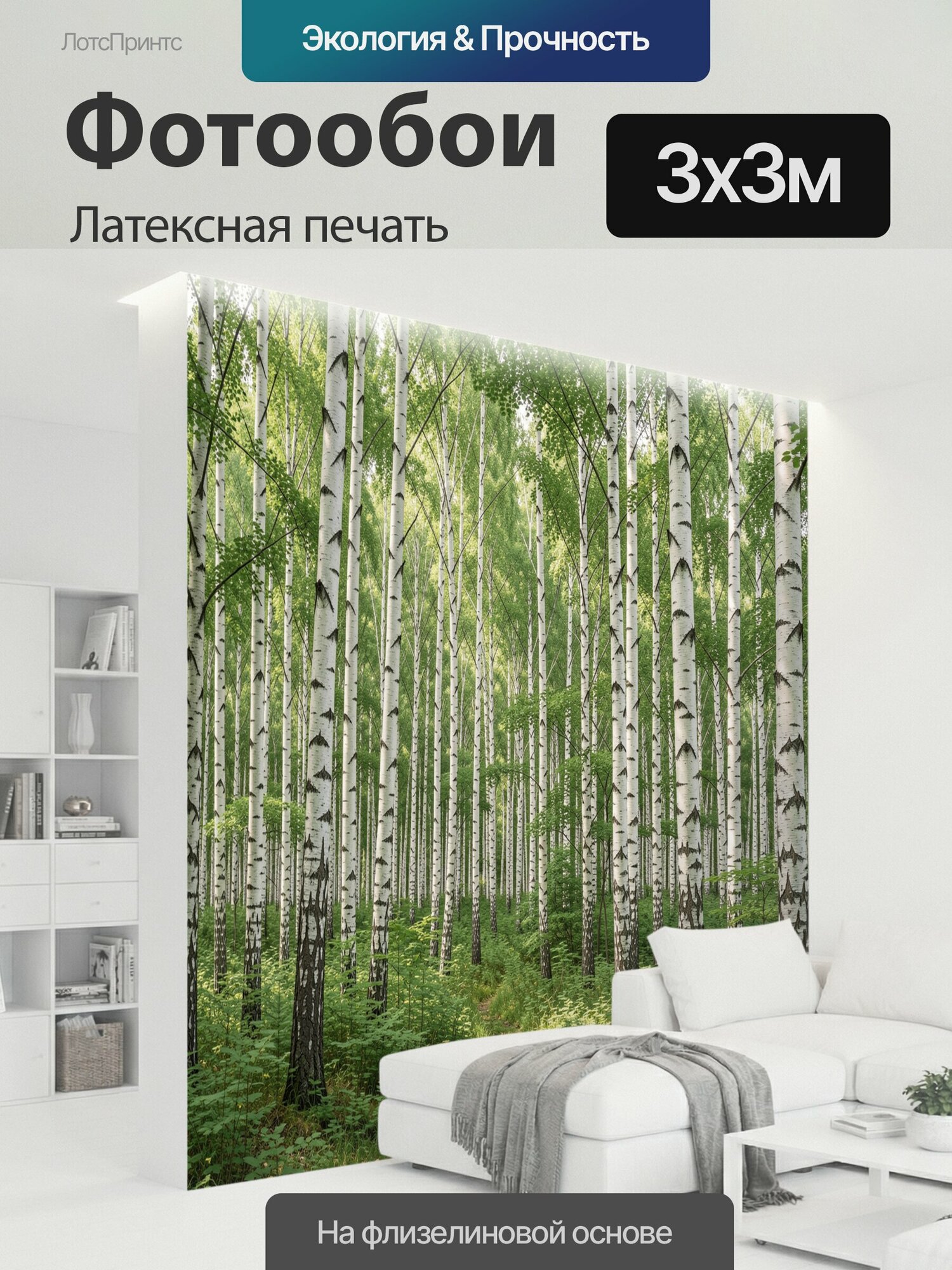 Фотообои моющиеся ударопрочные "Берёзовый лес с тропинкой. Светлая роща с высокими белоствольными деревьями, густой зеленью и узкой лесной." 300x300 см. латексная печать