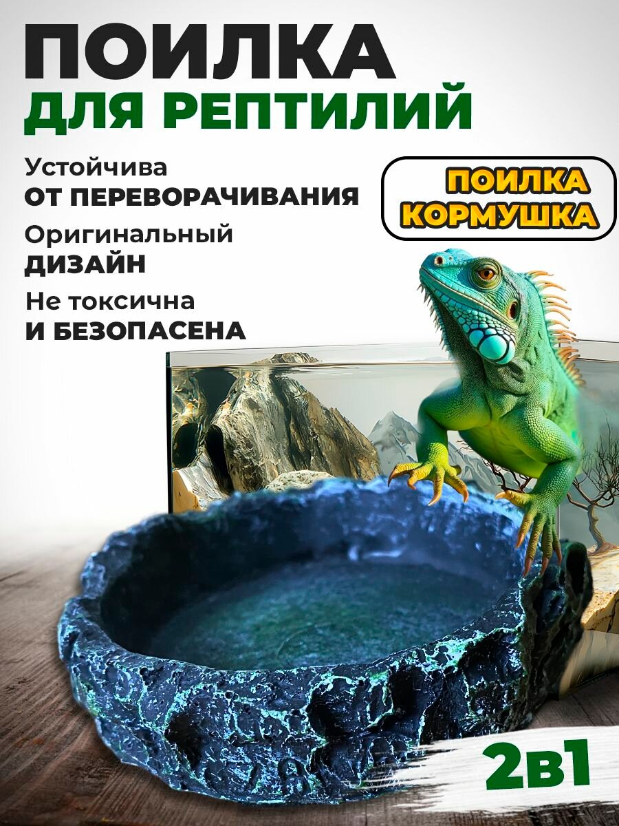 Кормушка - поилка для рептилий №6