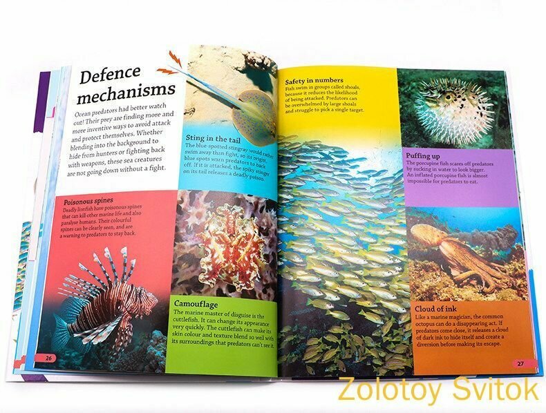 Книга "DK findout: Oceans" от DK, для детей, 2020 г, мягкий переплет — фото 1
