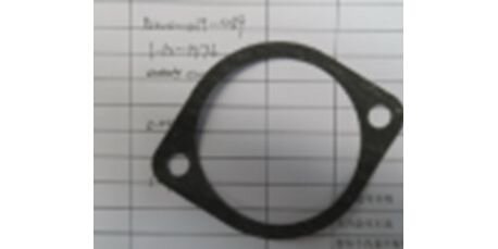 Уплотнение N000-019-084 N000-019-084
