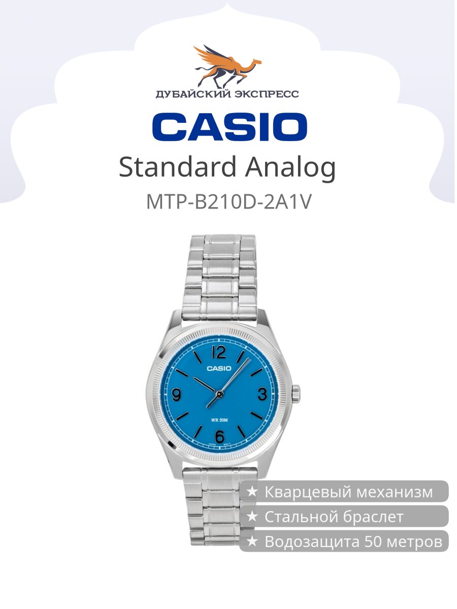 CASIO