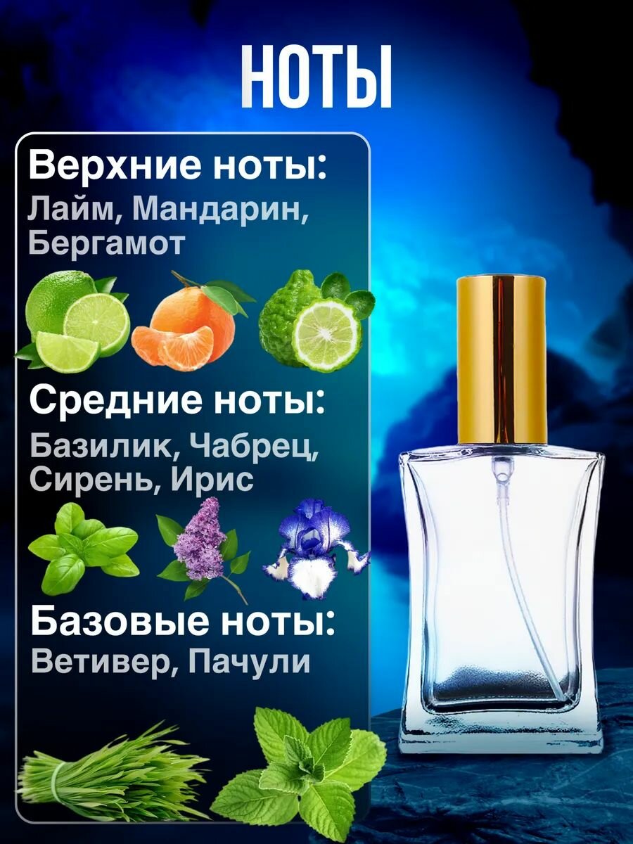 Духи масляные Lime Basil Лайм Базилик Мандарин парфюм мужские женские