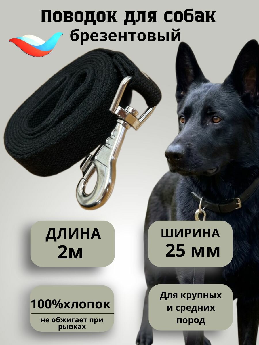 Поводок для собак брезентовый 2 м. черный усиленный