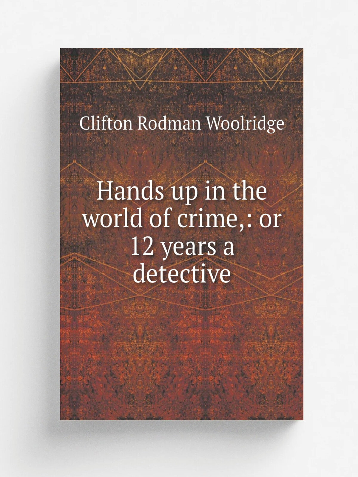 Hands up in the world of crime: or 12 years a detective