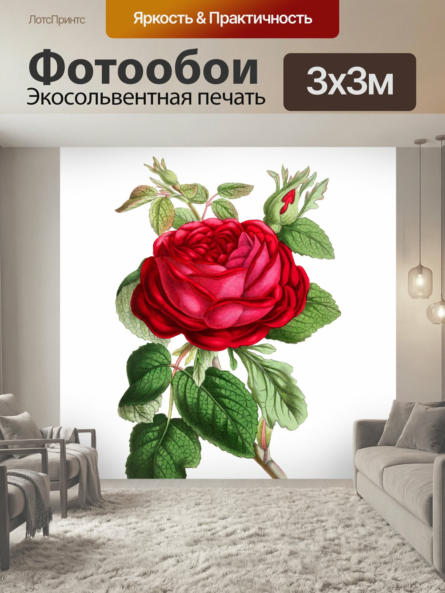 Фотообои "Нарисованный цветок розы Роза цветок цветение ручная роспись акварель креатив вырезать прозрачный фон Роза цветок цвести ручной." 300x300 см. экосольвентная печать
