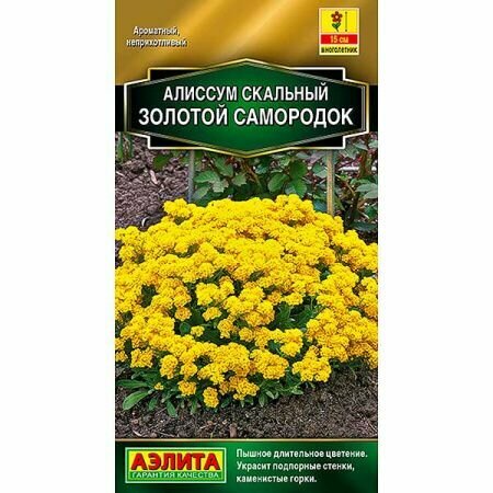 Семена Алиссум золотой самородок - почвопокровный многолетник . Аэлита