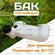 Запчасть для бензоинструмента