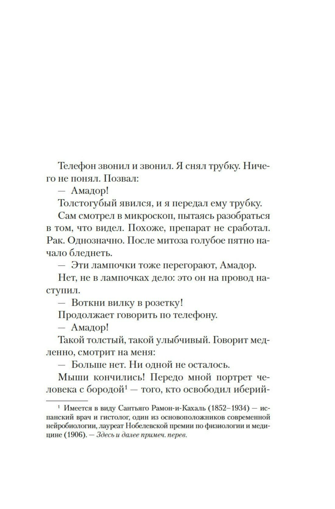 Время тишины — фото 1