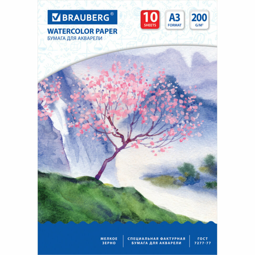 Бумага для акварели большая А3, 10 л, 200 г/м2, 297х420 мм, BRAUBERG, "Сакура", 125224, 125224