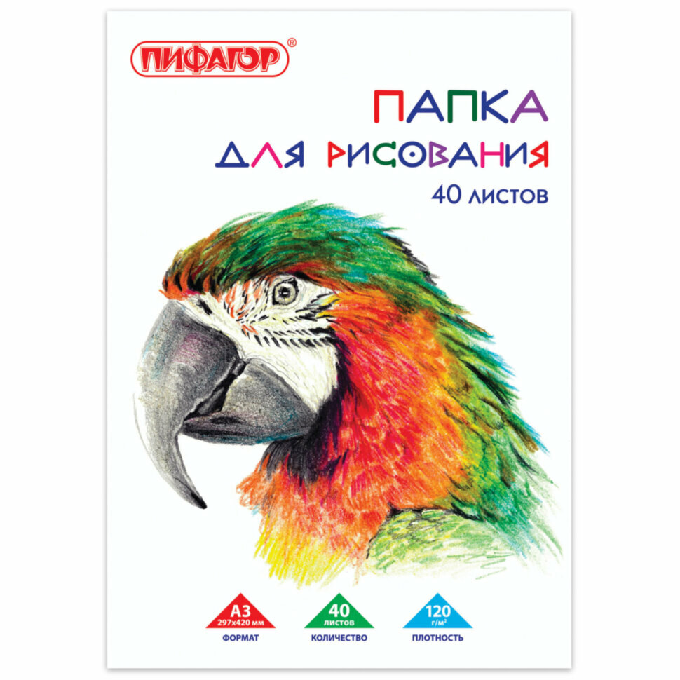 Папка для рисования большого формата А3, 40 л, 120 г/м2, пифагор, 297х420 мм, "Попугай", 129219, 129219