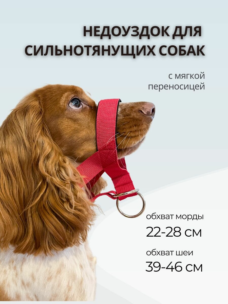 Недоуздок (халти) для средней собаки