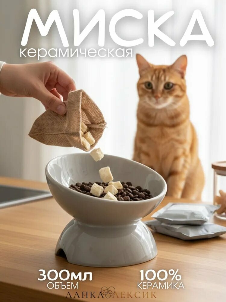 Миска для кошек и собак, Корзина для кошек, керамика, домашние животные.