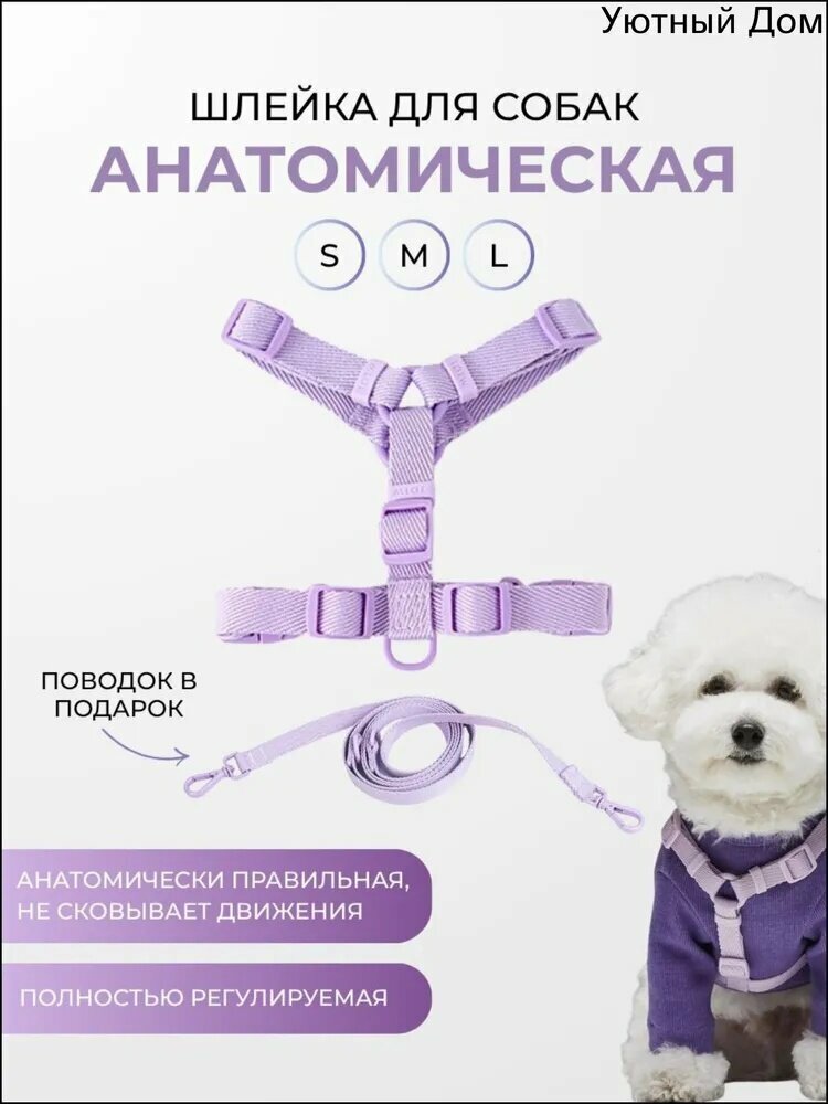 Эксклюзивная амуниция для выгула
