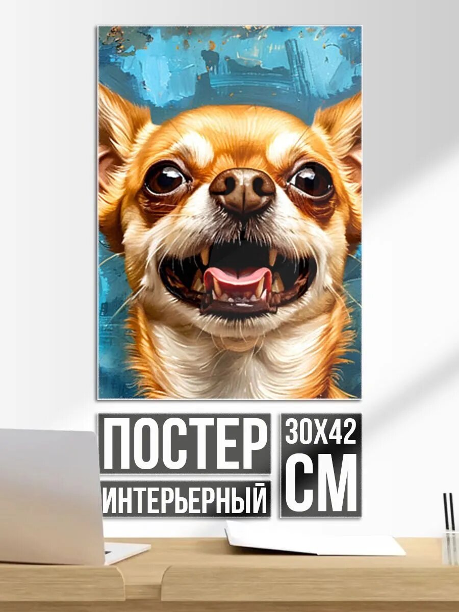 Постер на стену Чихуахуа улыбается