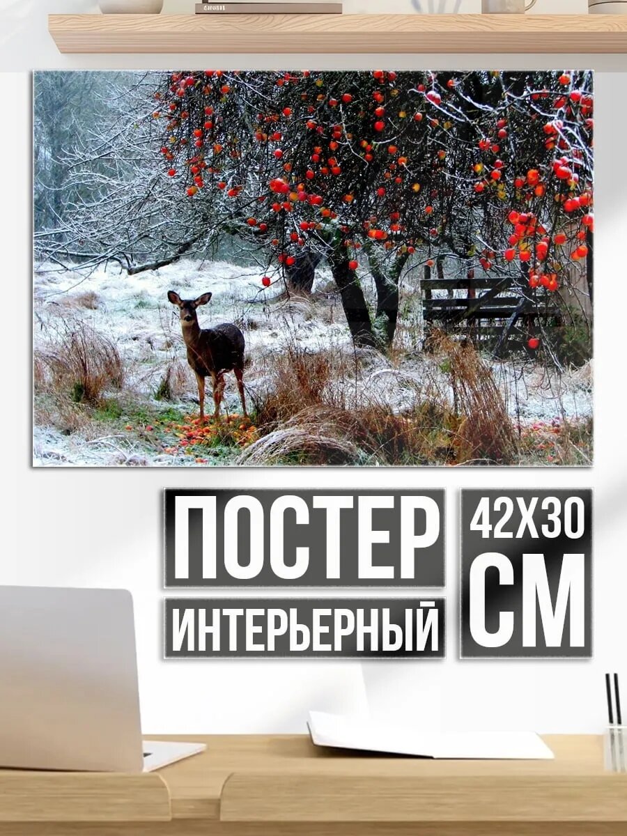 Плакат постер Олень в зимнем лесу