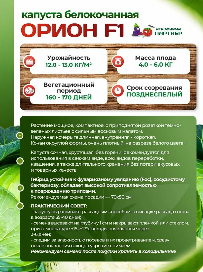 Капуста Орион — фото 1